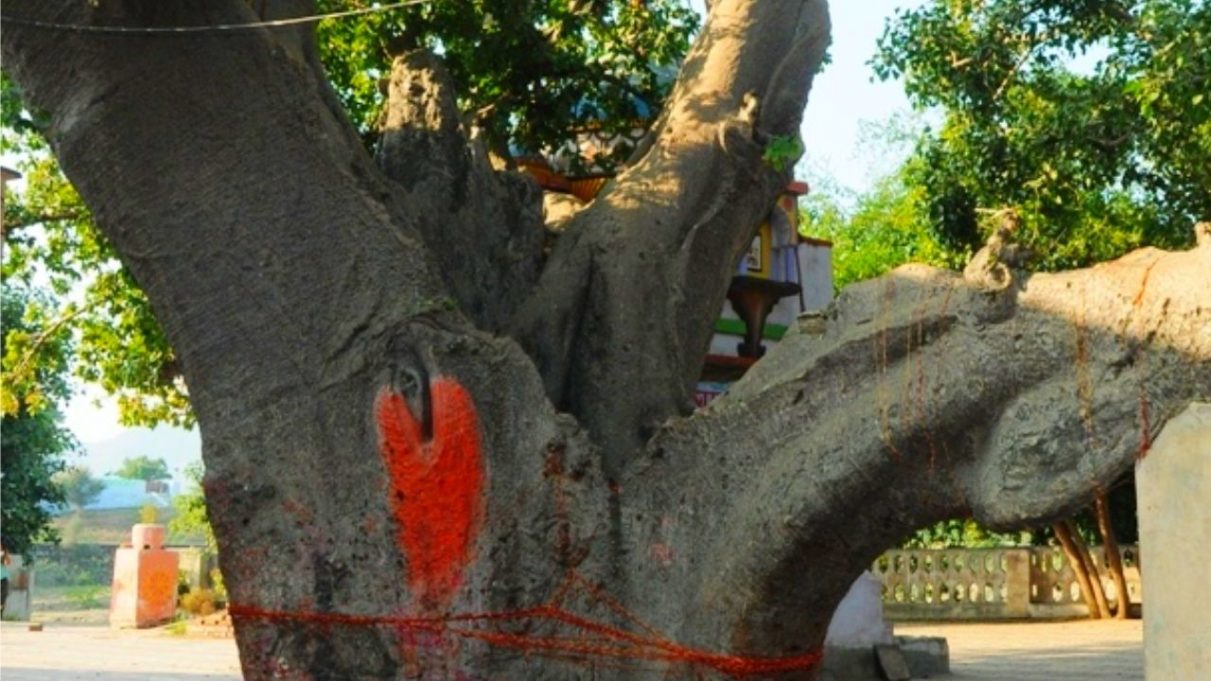 Best Activities & Places To Visit in Joshimath - Roshan Panjiyara